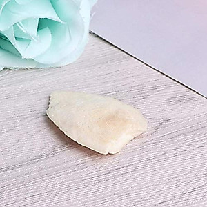 Zonster 1 Bag Cuttlebone Cuttlefish Sepia Bone Cuttle Fish Bird Food Calcium Pickstone Parrot Birds Teeth Grind Training