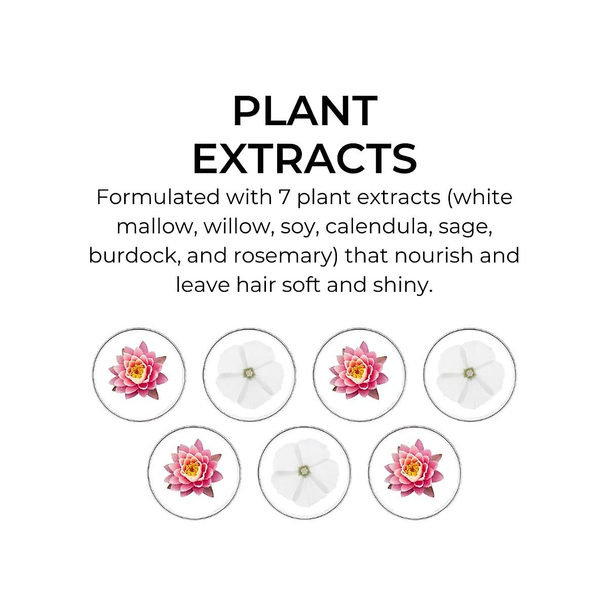 PHYTO 7 Botanical Hydrating Day Cream, 1.76 oz