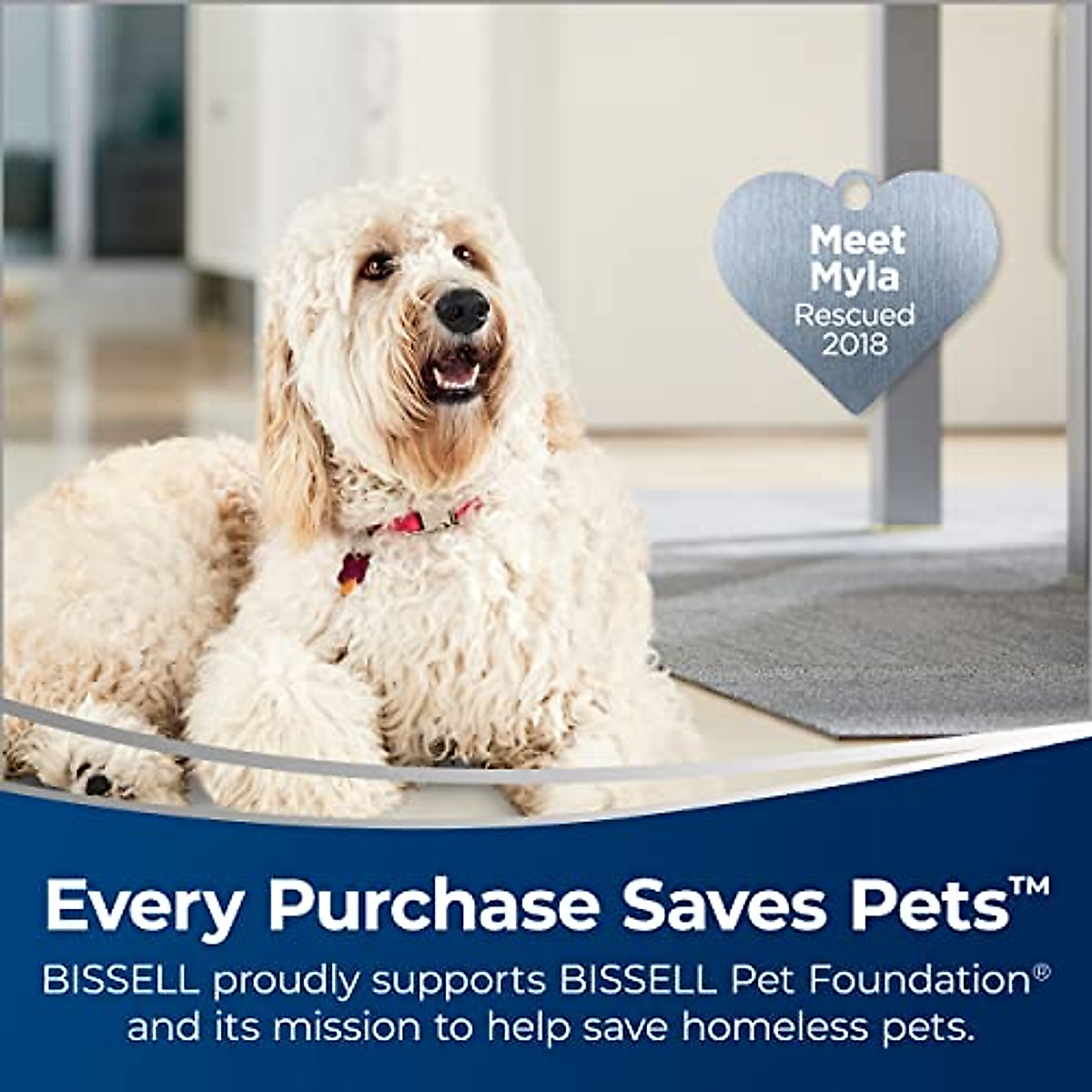 BISSELL CrossWave X7 Cordless Pet Pro Multi-Surface Wet Dry Vacuum with WiFi Connectivity, 3279