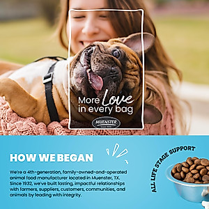 Muenster Adult Dry Dog Food, Small Breed, Large Breed - 4lb Bag Ancient Grain w/Chicken & Pork - Little Bites – Gluten Free, Non-GMO High Protein Dog Food - Soft & Healthy Digestive Dog Kibble