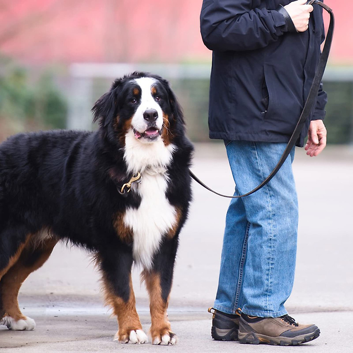 MERUOGKAR Leather Dog Leash 6ft x 3/4 inch,Strong Heavy Duty Genuine Leather Braided Dog Training Leash, Soft and Comfortable Leather Leash for Large Dogs, Medium Small Dogs (Brown, 6FT*3/4in)