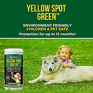 Yellow Spot Green™ Cures Urine Burns and Prevents Yellow Spots in Your Yard. Dog Urine Neutralizer for Lawns. Repair and Protect Grass from Dog Pee. Easy to Use Granules. Large 32 Ounce.