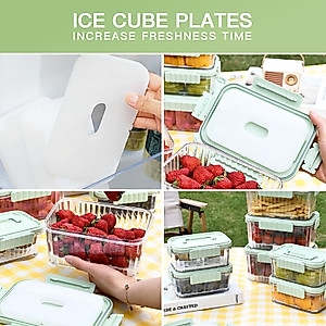 2 Pack Food Storage Containers with Lid, Portable Fruit Saver Berry Snack Keeper Container with Handle & Ice Sheet & Fork, Keep Fruits Food Fresh, for Fridge, Picnic, Office, Party, Camping (Yellow)