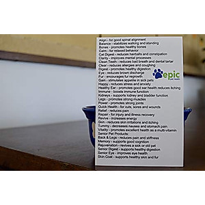 Skin - Natural, Electrolyte, Odorless Pet Supplement That Relieves Itchy, Flaky Skin Unscented Safe for All Animals Apply to Body, Food & Water Made in The USA (Dropper 1 Oz)