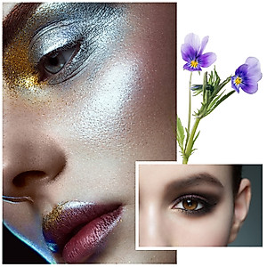 Black Smokey Eyeshadow Palette,9 Colors Glitter Black Silver Grey Brown Eyeshadow Palette,Long Lasting Waterproof Cool Toned Matte Eye Shadow Plattet with Eyeshadow Brush for Girls and Women （Set A）