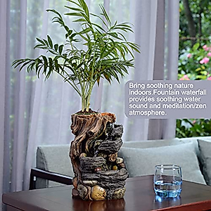 GOSSI Indoor Fountain Decorative 5-Tier Rockery Tabletop Fountains with a Small Plastic Pot to Grow The Plant by Yourself(Auto Watering)(22021)