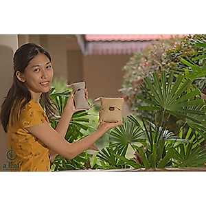 Bamboo charcoal air purifying bag, Naturally Dyed and Canada-Made odor absorber bags, a scent free, chemical free activated bamboo charcoal smell eliminator bags, 8 small light grey color bags