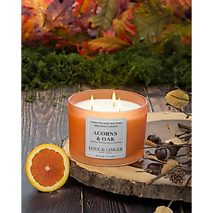 Acorns & Oak Candle | Fall Candles | Luxury Soy & Beeswax Candles for Home | 16 oz. Large Jar 3 Wick Candle | Thanksgiving Candle | Fall Scented Candle | Autumn Candles