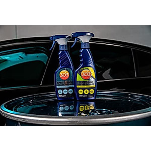 303 Spray & Rinse Ceramic Sealant – Quick Ceramic Coating – Water-Activated SiO2 Formula – 6 Months of Protection – Water Repellent Ceramic Spray – Easy to Use – 16 Oz (Pack of 1) (30262)