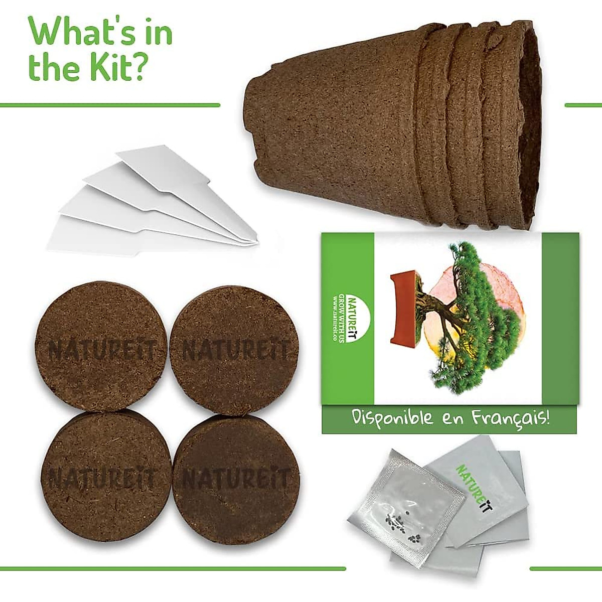 Natureit Bonsai Tree Starter Kit - Grow 4 Bonsai Trees from Seeds. All-in-One Indoor/Outdoor DIY Craft Kits for Adults Men & Women. Christmas Ideas for Plant Lovers or Mom & Dad who has Everything