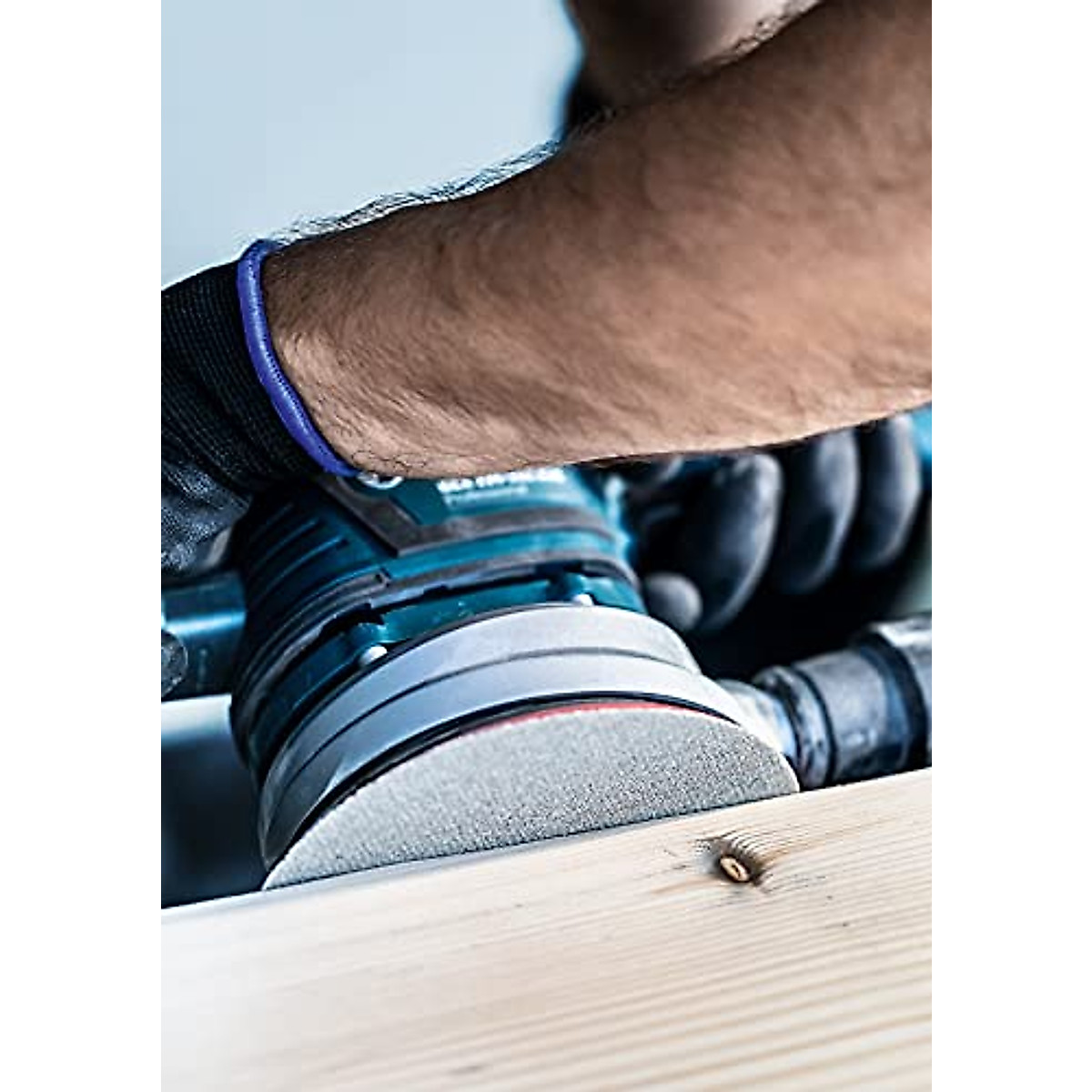 Bosch Professional 5x Expert M480 Sanding Net (for Hardwood, Paint on wood, Ø 125 mm, Grit 120, Accessories Random Orbital Sander)