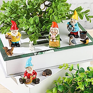 10 Pieces Mini Fairy Gnomes Statue Garden Accessories Kit Miniature Garden Resin Gnomes Hand Painted Squirrel Hedgehog Owl Bird and Bucket Ornament for Plant Pots Yard Lawn Home Outdoor Decorations