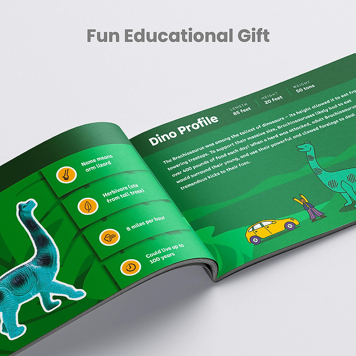 Boley 12 Pack 9-Inch Educational Dinosaur Toys - Kids Realistic Toy Dinosaur Figures for Cool Kids and Toddler Education! (T-Rex, Triceratops, Velociraptor, and More!)