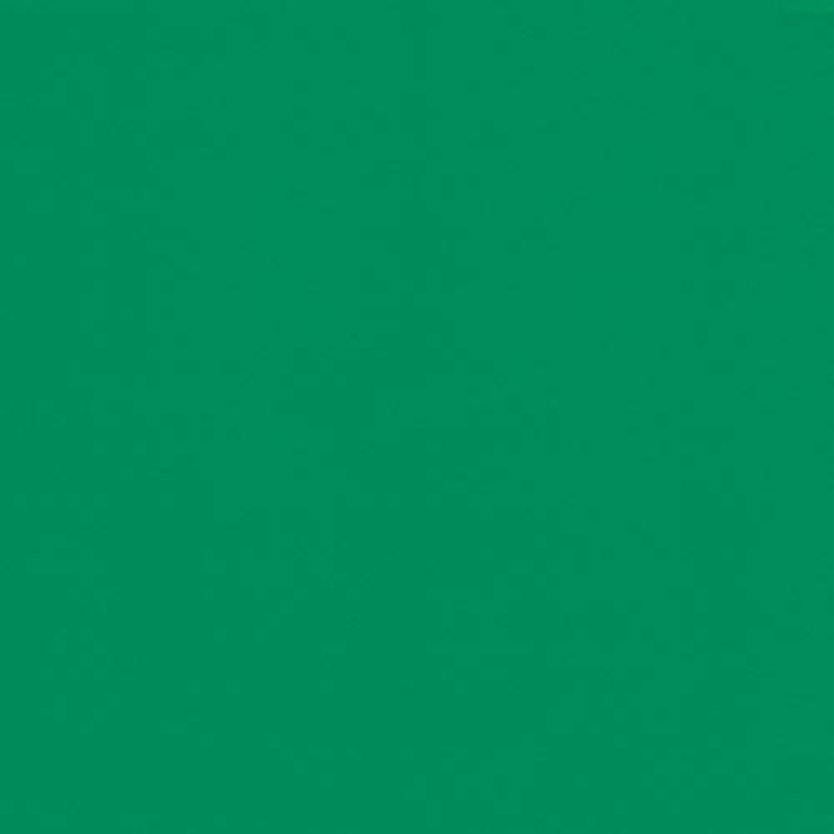 Green Cardstock - 12 x 12 inch - 65Lb Cover - 25 Sheets - Clear Path Paper