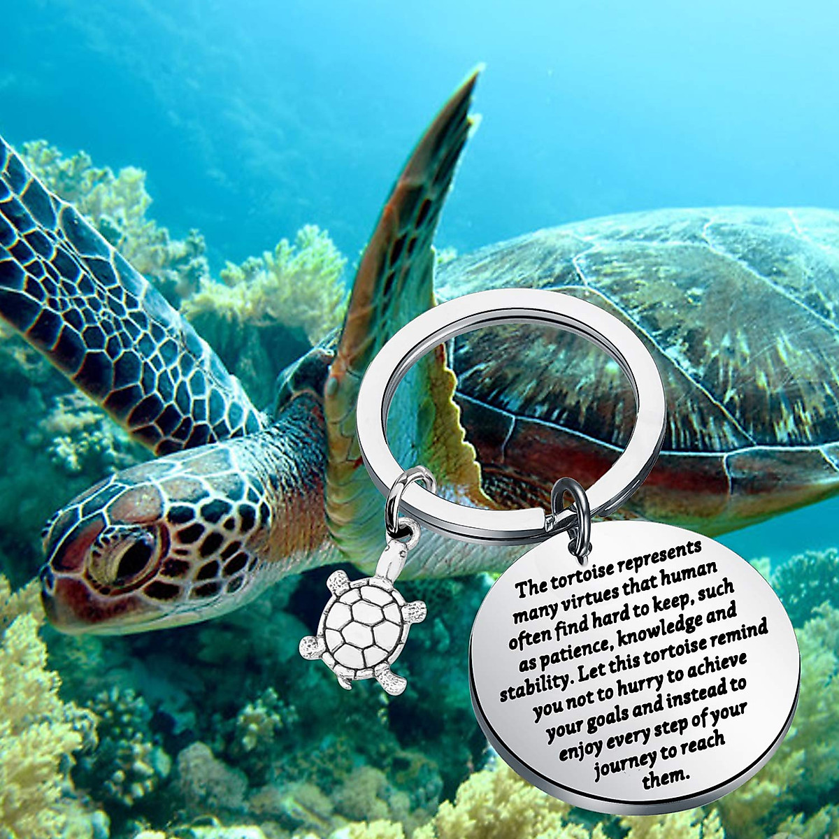 ENSIANTH Tortoise Keychain Tortoise Lover Gift Turtle Keychain Inspirational Gift for Friend (Tortoise Keychain)