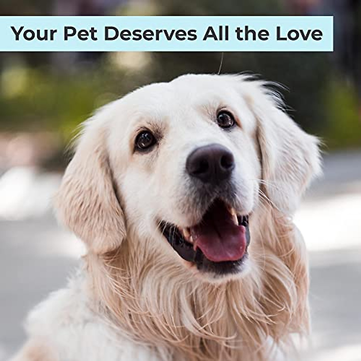 Bowsers Crescent Bed for Dogs - Reversible Dog Bed with Tufted Cushion and Open Front - Hypoallergenic Dog Bed Lounger with High Memory Polyester Fiber and Upholstery Grade Fabric - Storm, Large Size