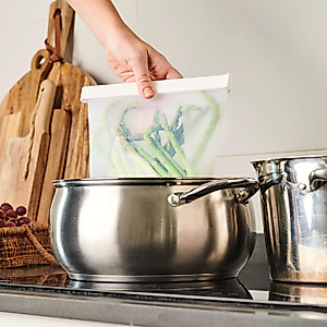 humangear GoPouch - Flexible Food Storage Container, Quick-Seal, Reusable Pouches, Leak Proof Bag with Slide-Lock Closure System, Clear, Medium