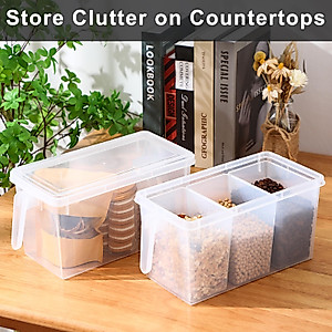 Quzzil 8 Pcs Fridge Organizer Refrigerator Organizer Bins with Lids and Handle Clear Fruit Storage Containers for Fridge Vegetable, Egg, Meat (Divided and Normal Style)