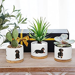 Whonline Dachshund Dog Planters, Cute Succulent Pots Dachshund Gifts for Women, Small Ceramic Flower Pots with Bamboo Tray, Weiner Dog Plant Pots Gifts for Friends Birthday Gift Set