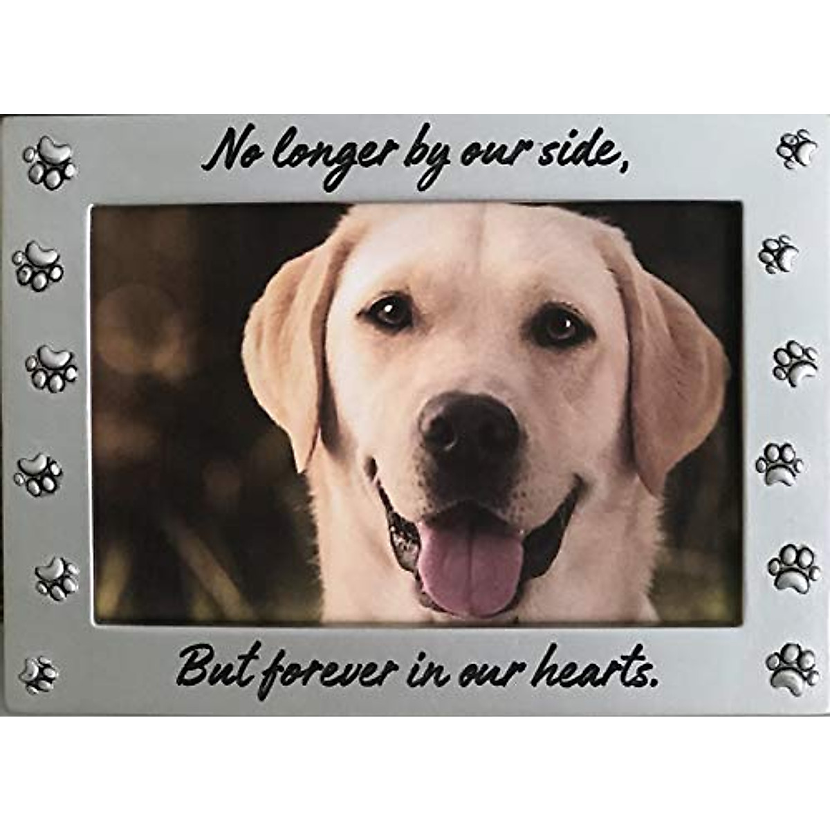 NewLifeLandia Pet Memorial Picture Frame Keepsake for Dog or Cat, Perfect Loss of Pet Gift for Remembrance and Healing