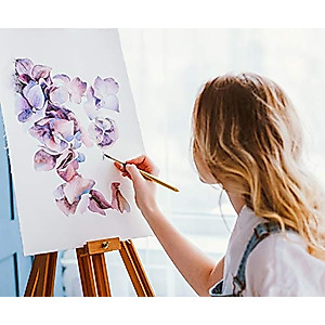 Bachmore Drawing Pad 9X12 Inch (110lb/180g), 60 Sheets, Top Spiral Bound Multi-Media for Artist Pro & Amateurs | Acrylic Art, Ink, Paint, Oil Pastels,Watercolor Mixed Media Sketch