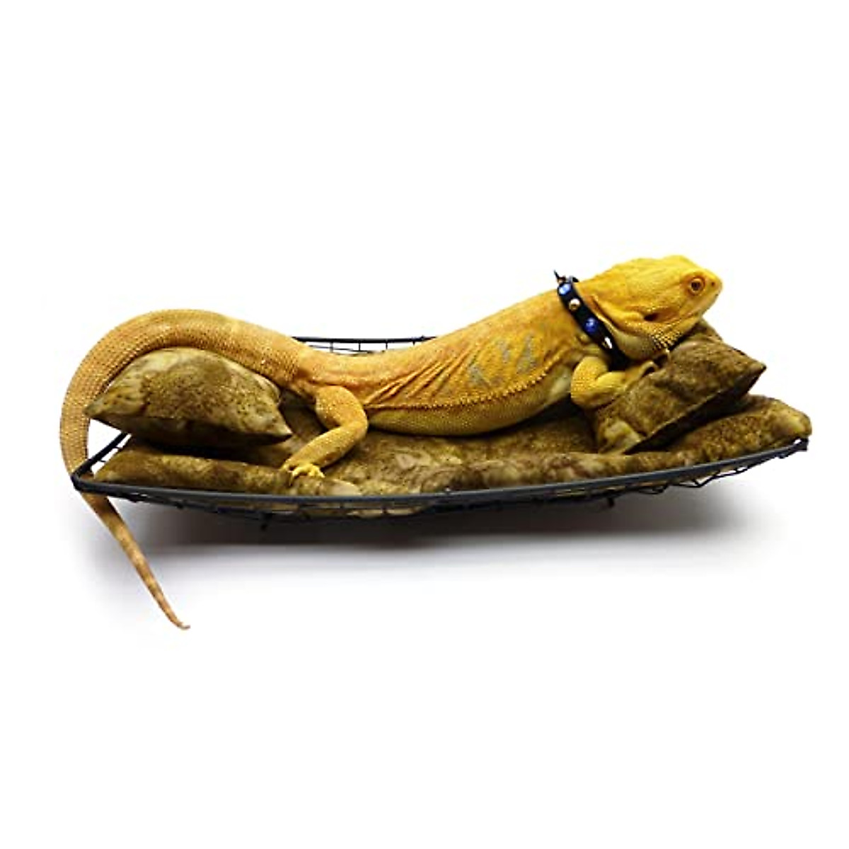 Chaise Lounge for Bearded Dragons, Brown Batik Fabric