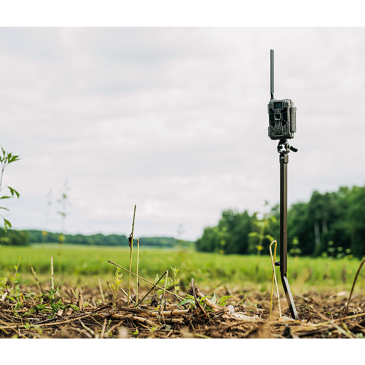 Stealth Cam Deceptor NO GLO 80ft Detection & IR Range 40MP Photo 1440P HD Video Capture Remote App Contol Wireless Hunting Cellular Trail Camera - Available on AT&T & Verizon