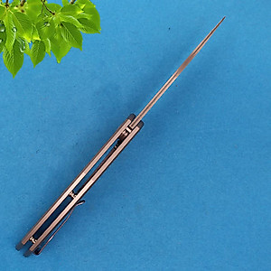 R8318 Flipper Folding Knife 67-Layer VG10 Damascus Steel Blade CNC TC4 Titanium Alloy, Outdoor Camping Hiking Fishing EDC Pocket Folder Knives