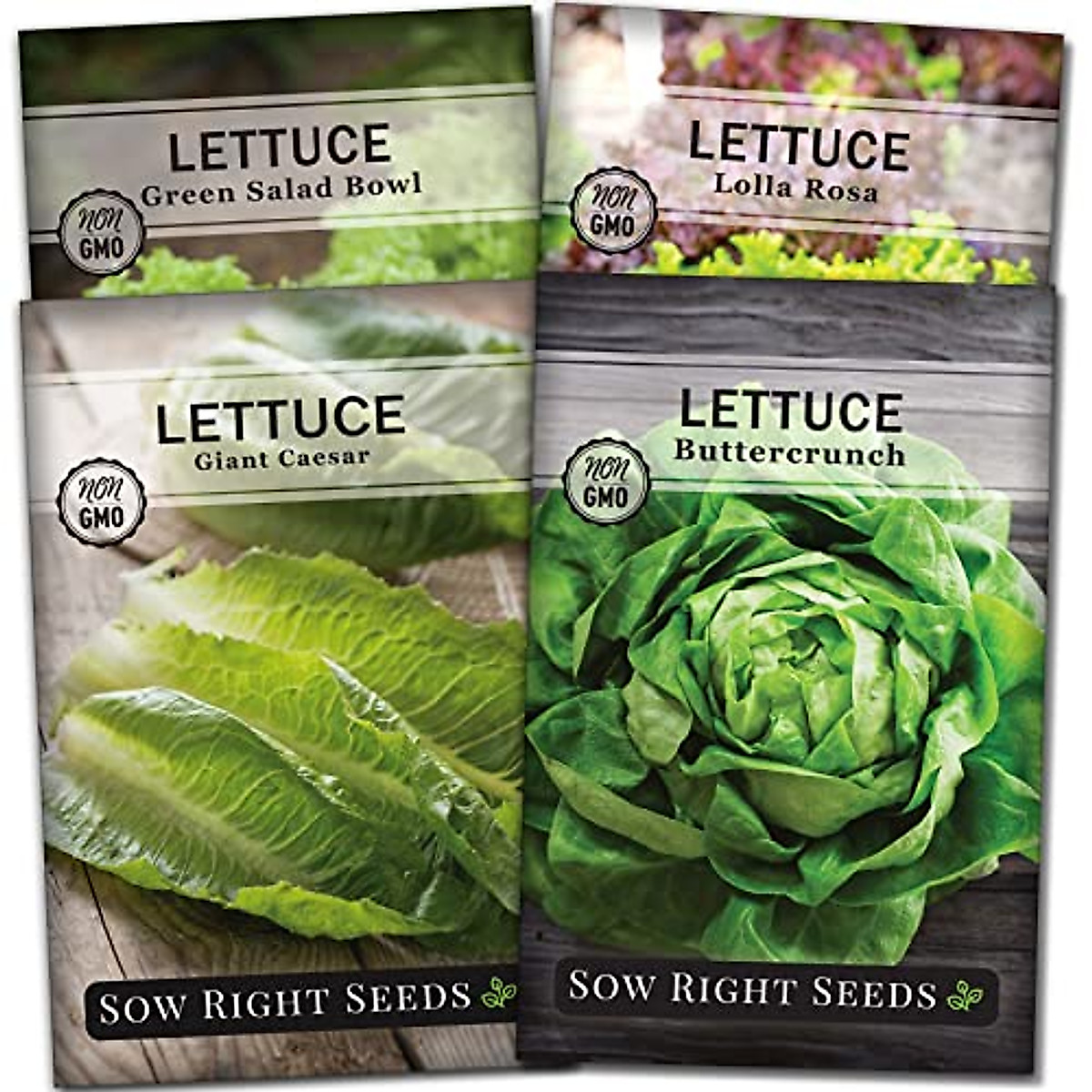 Sow Right Seeds - Lettuce Seed Collection for Planting - Buttercrunch, Giant Caesar, Salad Bowl, and Lolla Rosa Varieties Non-GMO Heirloom Seeds to Plant a Home Vegetable Garden