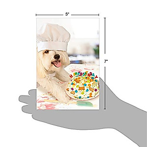 NobleWorks - 1 Cute Birthday Card with Envelope - Funny Wild Animals and Pets, Birthday Greeting - Dog Chef C3200BDG