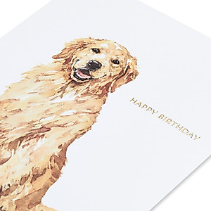 Papyrus Dog Birthday Card (Celebrate and Enjoy)