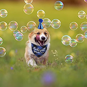 HACRAHO Dog Birthday Bandana Hat Bow Tie Set, 3 Pieces My Gotcha Day Plaid Dog Bandana Dog Triangle Bibs Scarf Bowtie Collar with Cone Dog Birthday Hat for Dog Birthday Party, Blue