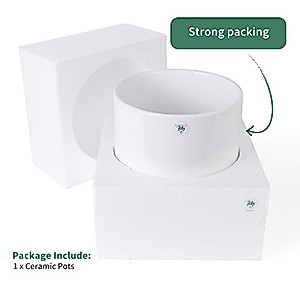 8 Inch Glazed Ceramic Indoor Planter Pot - Modern Large Cylinder Container with Watering Drainage Rubber Plug - Fits Succulents, Flowers or Bonsai