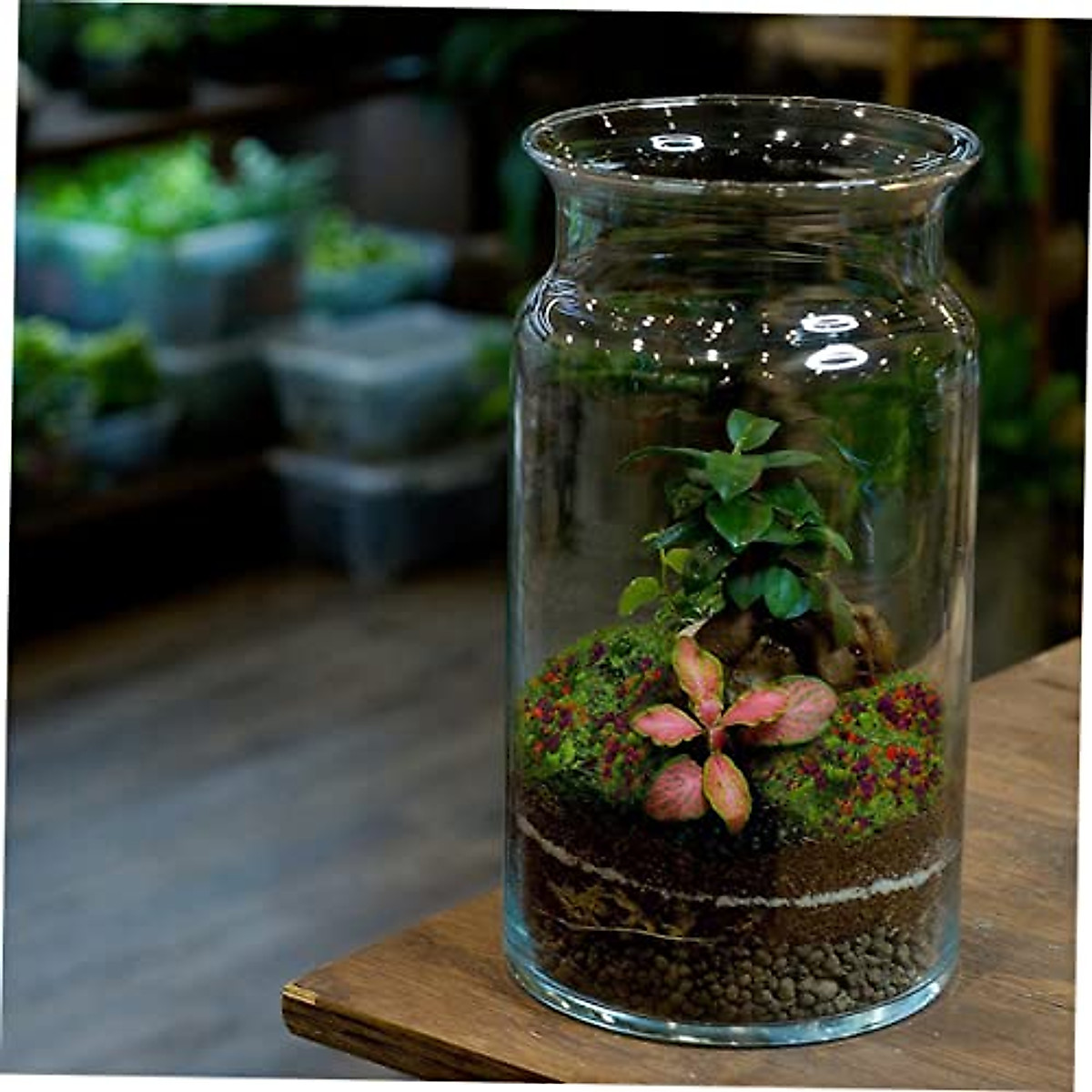 HANABASS 2 Boxes Tufts Scenery Tabletop Building Modelling Diorama Flower H Miniature Irregular Gaming for Cluster Hobby Static Train Railroad Adhesive Sand Bushy Layout Groups Grass of