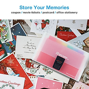 REEMTOO Accordian File Organizer, Coupon Organizer, Folder Organizer Mini Organizer Wallet for Coupons, Receipts, Cash, Tax Item or Changes,7x4.5 in 13 Pockets with Tabs Check Case(Caise)