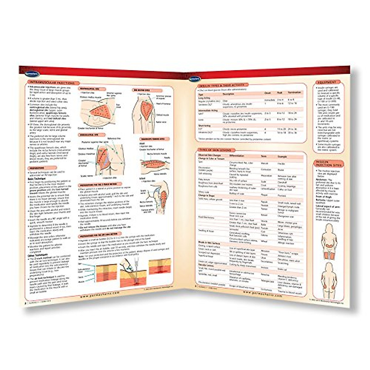 Nursing II Guide - Medical Quick Reference Guide by Permacharts