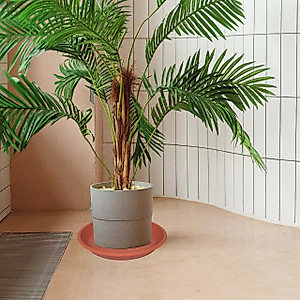 SAUCERHOME 5 Packs Plant Saucer Pot Tray 6 8 10 12 14 16 19 20 Inch Plastic Flower Planter Saucers and Drip Trays for Indoors Outdoors, Heavy Durable Plant Plate Water Catcher (6 Inch Terracotta)