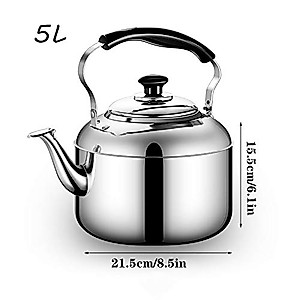 Tea Kettle Stovetop Stainless Steel 304, Tea Kettle with Heat-Resistant Handle, for Gas Induction Electric Stovetops (Color : 304 Stainless Steel, Size : 5L)