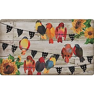 Toland Home Garden 800486 Farmhouse Birds Fall Door Mat 18x30 Inch Summer Outdoor Doormat for Entryway Indoor Entrance