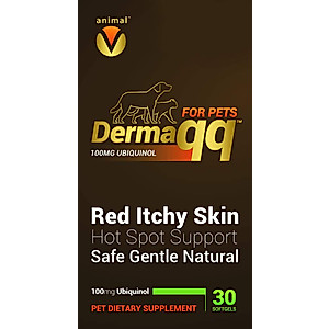 animal V, Inc Dermaqq Dog & Cat Hot Spots, Hair Loss, Dermatitis Support