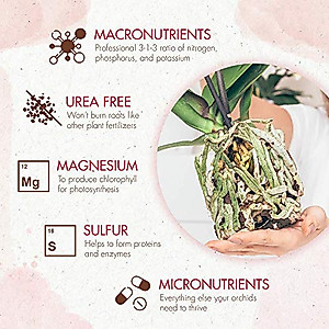 Orchid Plant Food (5 oz, 50+ Applications) - Bloom Booster Fertilizer Pellets for Orchids in Pots - Slow Release Nutrients for Healthy Flower & Reblooms
