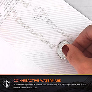 DocuGard Blue/Red Prismatic Top Check, 8.5 x 11 Inches, 24 lb, 500 Sheets, 1 Check Per Sheet (04532)