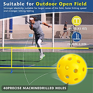 Baisal Pickleball Set with Net Portable Outdoor Indoor, 22FT Regulation Size Pickleball Net for Driveway with 4 Wooden Pickleball Paddles, 1 Pickle Ball Net, 4 Balls,1 Storage Bag, 1 Carry Bag