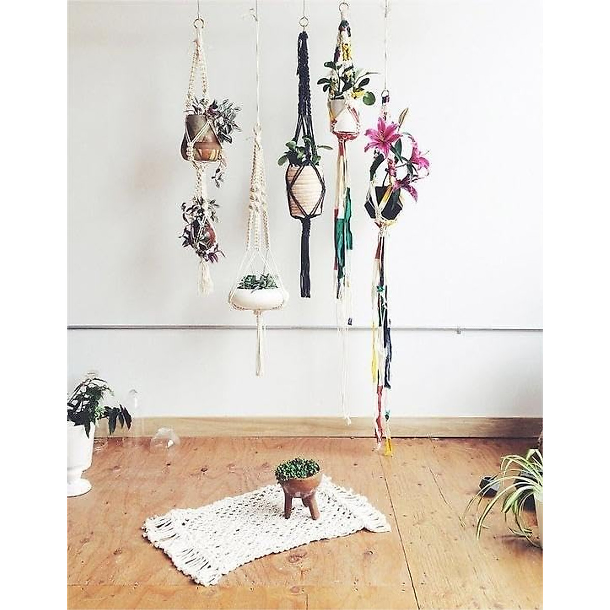 GHASYXL No Drilling Ceiling Hooks Adhesive Ceiling Plant Hooks Sticky Eye Hooks for Hanging Bird Feeders Indoor Outdoor Decoration Hooks(4, Circular)