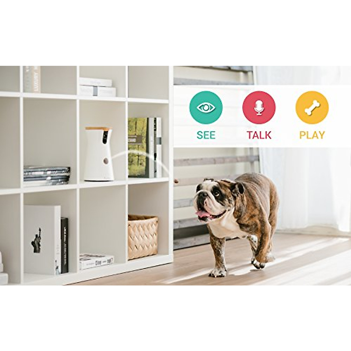 Furbo Dog Camera (2 Pack): Treat Tossing, Full HD WiFi Pet Camera and 2-Way Audio, Designed for Dogs, Compatible with Alexa (As Seen On Ellen)