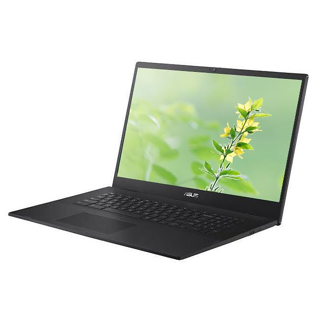 Asus 2024 17" FHD IPS Chromebook, Intel Celeron Processor Up to 2.80GHz, 4GB Ram, 128GB Storage, Super-Fast WiFi, Full Size Keyboard, Chrome OS, Dale Black(Renewed)