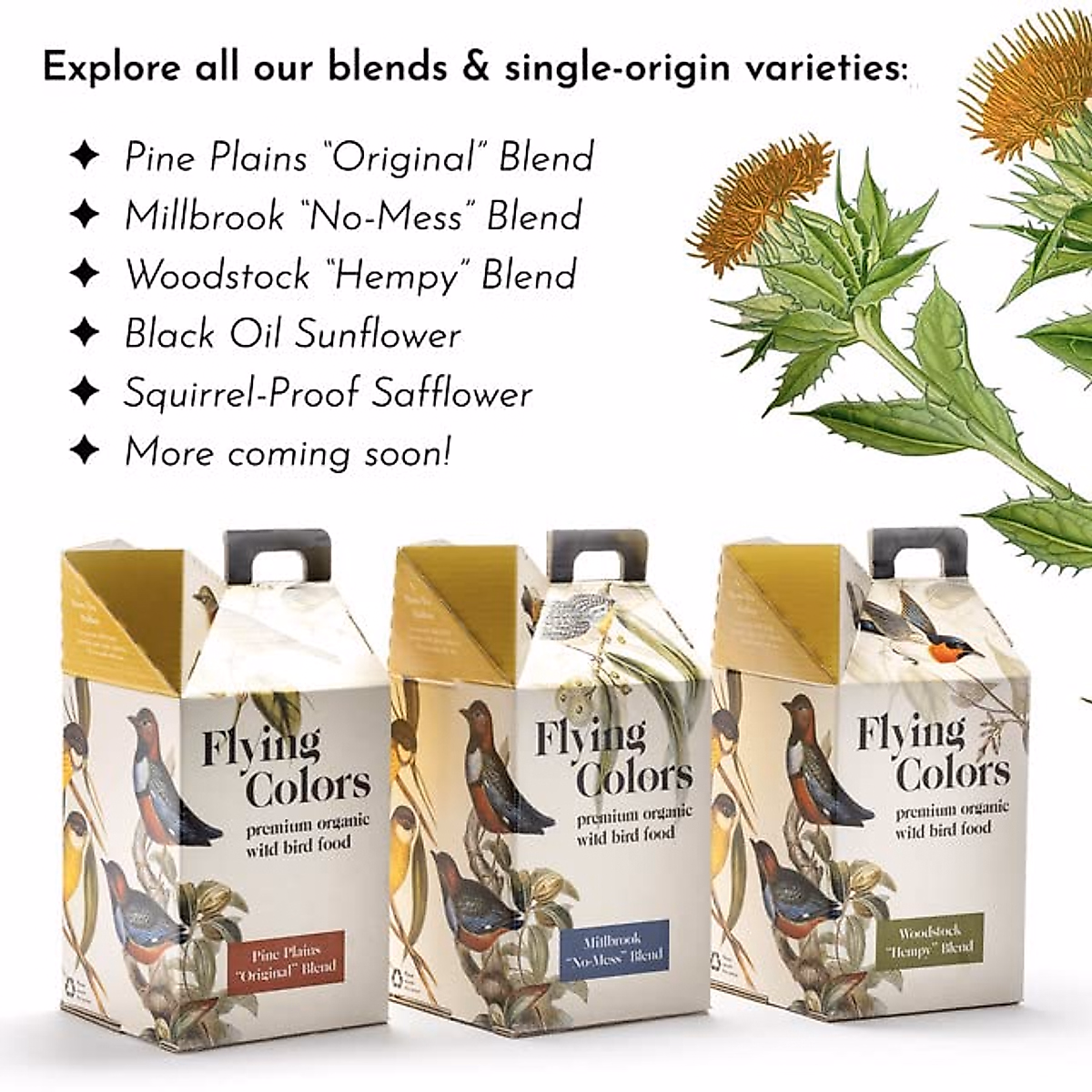 Flying Colors Premium Organic Wild Bird Seed | Black Oil Sunflower Seed | USDA Organic Ingredients | Best Seed for Backyard Bird Feeders | 3 Gallon Easy-Pour Carton