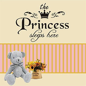 QISHENG The Princess Sleeps Here Wall Decal Vinyl Sticker for Kids Baby Girls Bedroom Decoration Nursery Home Decor Mural Design (The Princess Sleeps here, 40cm X 30cm(15.7"X11.8"）)