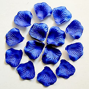Aldeepo 1000 Pcs Artificial Rose Petals for Romantic Night, Fake Rose Flower Petals for Wedding, Party, Valentines Day Decorations for The Home (Blue)