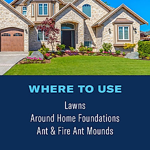 BioAdvanced Complete Brand Insect Killer for Lawns, Granules, 20 LB